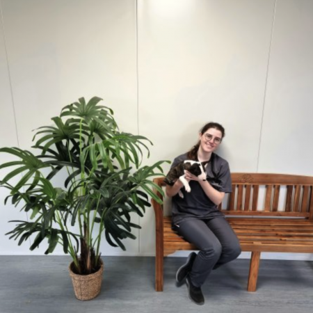 CABINET VÉTÉRINAIRE NEO-NOE, établissement vétérinaire à Somain ...